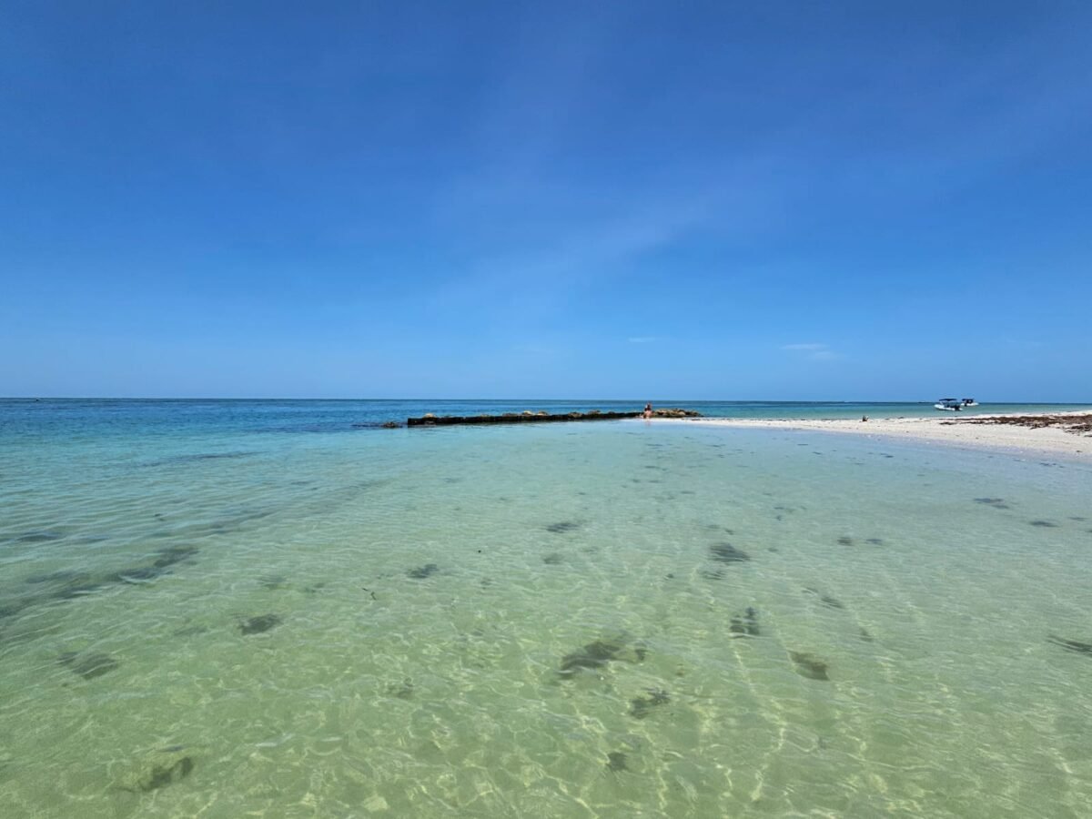 CJ Reef Snorkeling Getaway