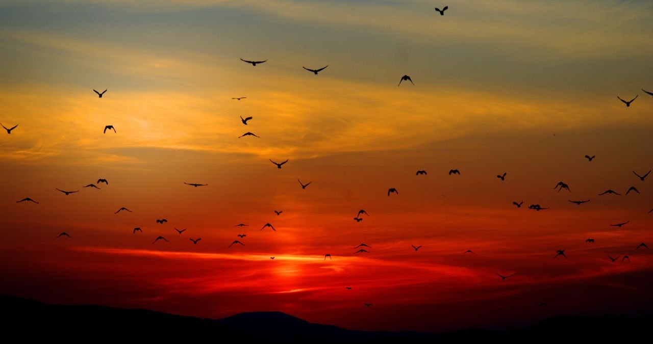 Best Places To Watch The Naples Sunset - Sunset Jet Ski Rental & Tours
