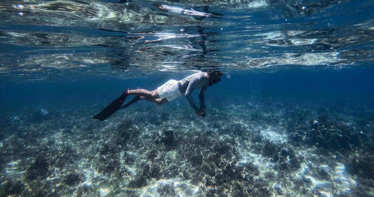 Where is the Best Snorkeling in Southwest Florida (SWFL)? - Sunset Jet ...